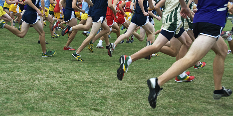 Capital XC Challenge starts today! - Run Ottawa