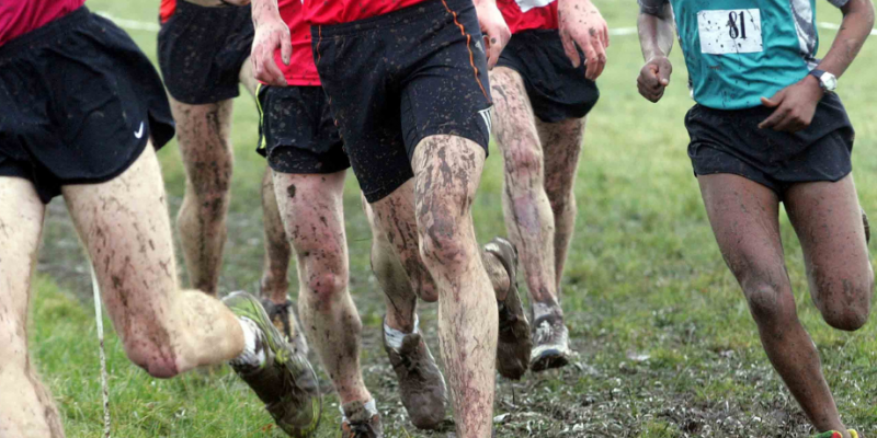 5 tips to help you prepare for a cross country race - Run Ottawa