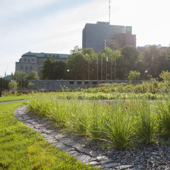 The 2024 Tamarack Ottawa Race Weekend marathon and half marathon course ...