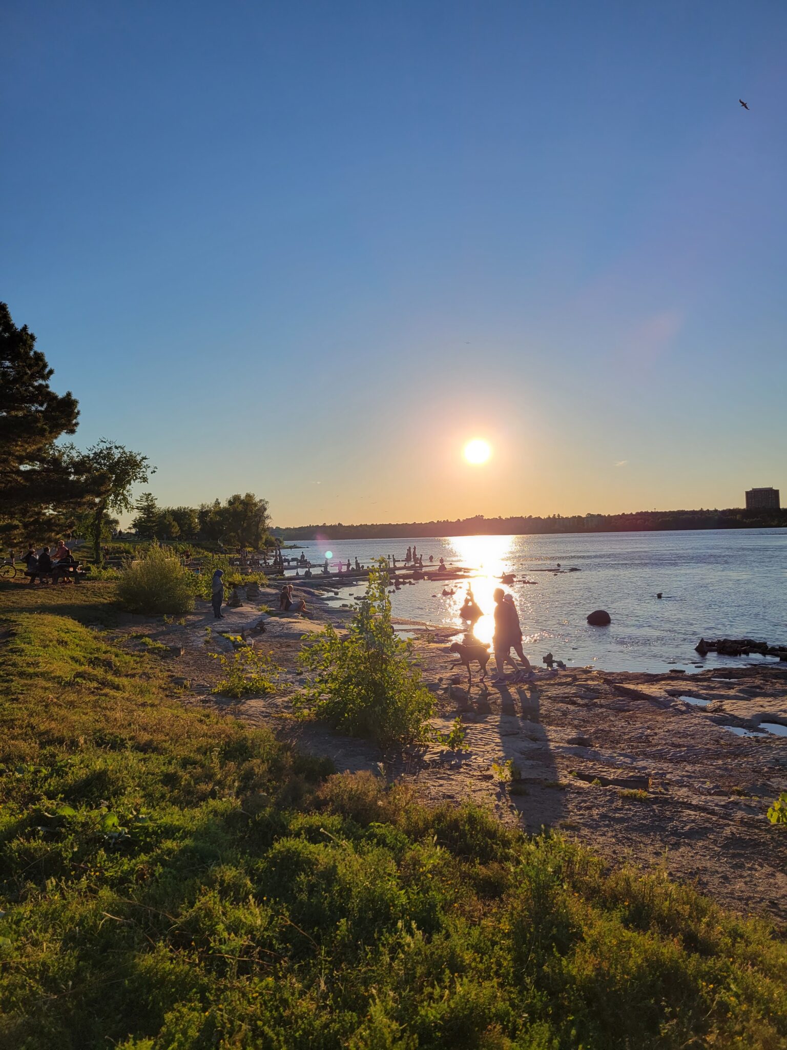 The 2024 Tamarack Ottawa Race Weekend marathon and half marathon course ...